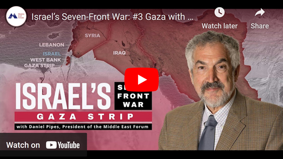Israel's Seven-Front War: Gaza :: Daniel Pipes