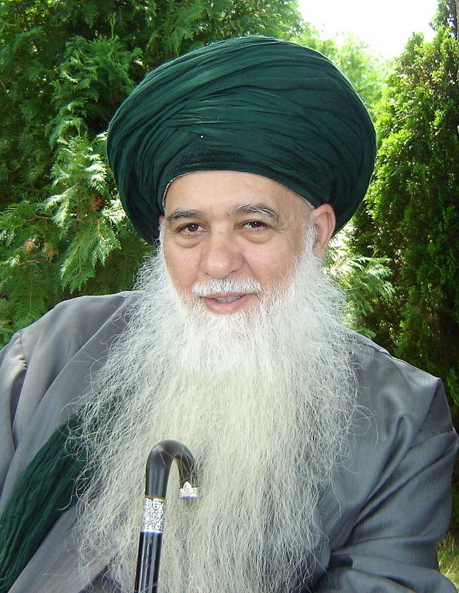 Faces of American Islam[: Muslim Immigrants] :: Daniel Pipes