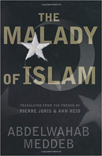 [Moderate] Voices of Islam :: Daniel Pipes