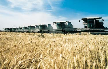 "Saudi Arabia to End Wheat Growing" :: Daniel Pipes