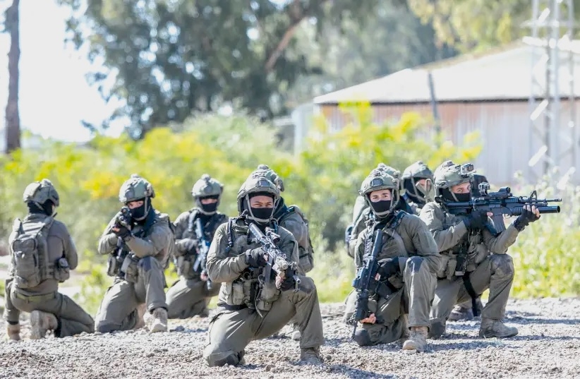 L'IDF opte pour la victoire :: Daniel Pipes