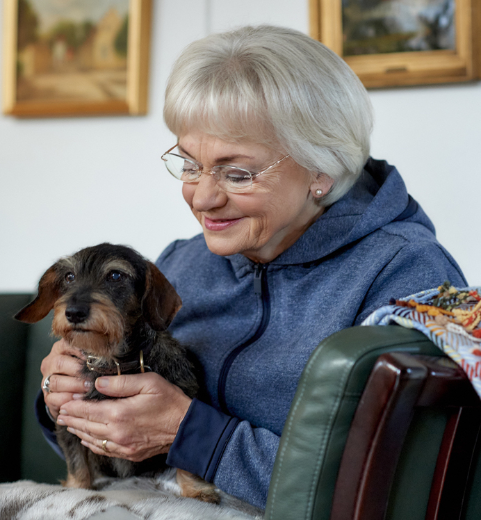 2022's Biggest Hits at DanielPipes.org :: Daniel Pipes