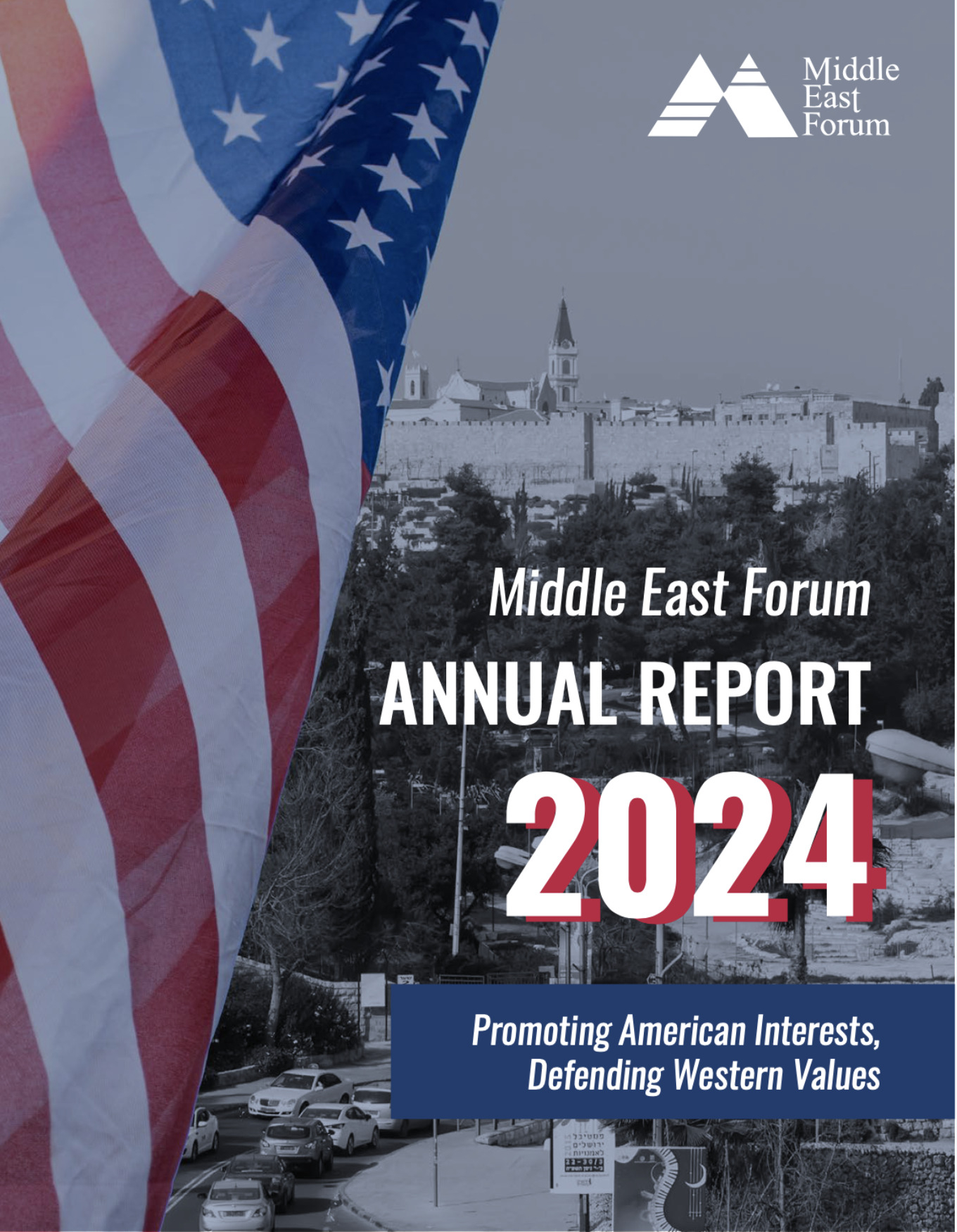 Thirty Years of MEF and Looking Ahead: A Message from the President ...